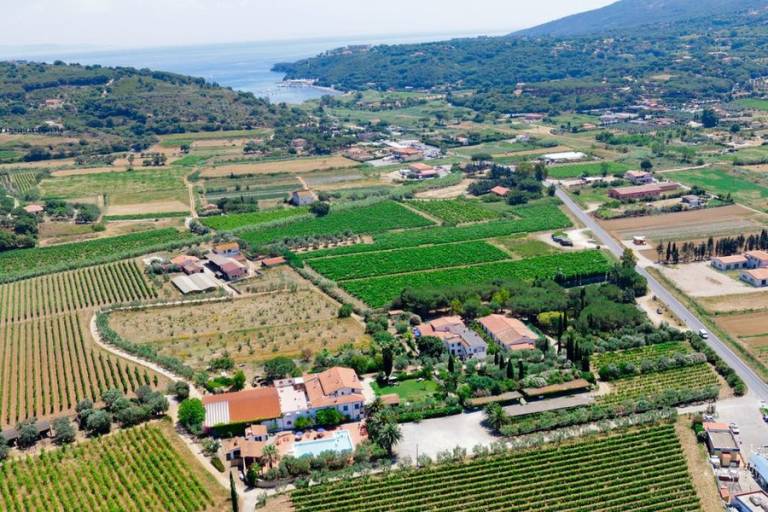 Sapereta - Tuscany