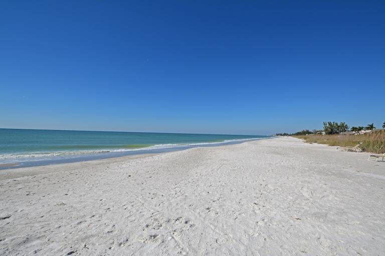 Top 11 Things to Do in Longboat Key With Kids - Tripping.com Rentals ...