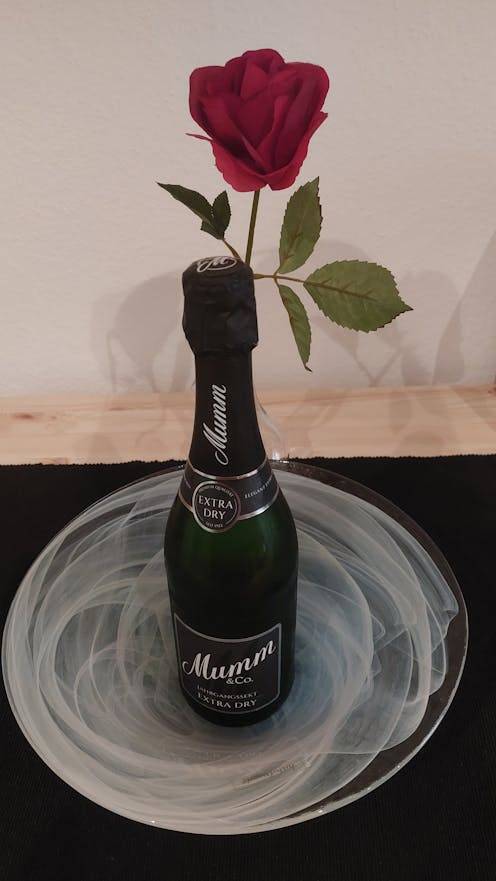 60 M² Apartment ∙ 2 Bedrooms ∙ 4 Guests - Mannheim