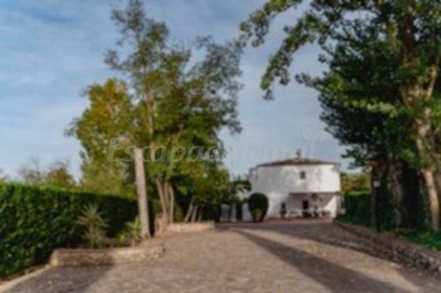 Cottage ∙ 10 Bedrooms ∙ 20 Guests - Ronda