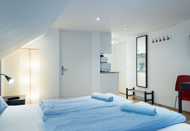 20 M² Apartamento ∙ 2 Huéspedes - Lucerne