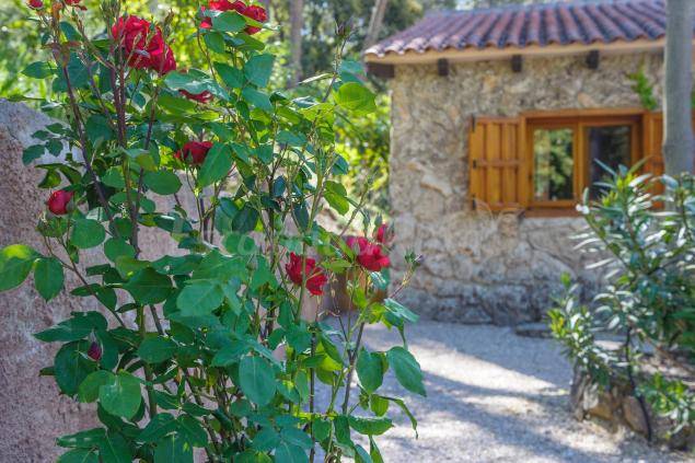 Casa Rural ∙ 3 Habitaciones ∙ 4 Huéspedes - Yeste