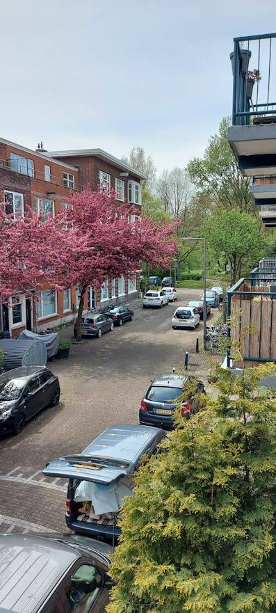 50 M² Apartment ∙ 1 Bedroom ∙ 2 Guests - Rotterdam