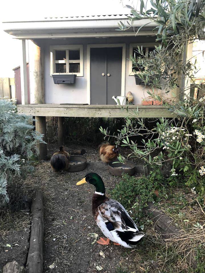 House ∙ 1 Bedroom ∙ 2 Guests - Port Campbell