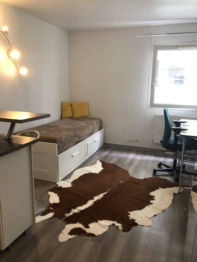 19 M² Appartement ∙ 1 Gast - Hœnheim