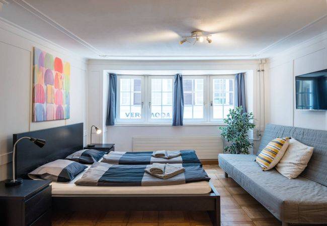 28 M² Appartement ∙ 3 Personnes - Winterthour