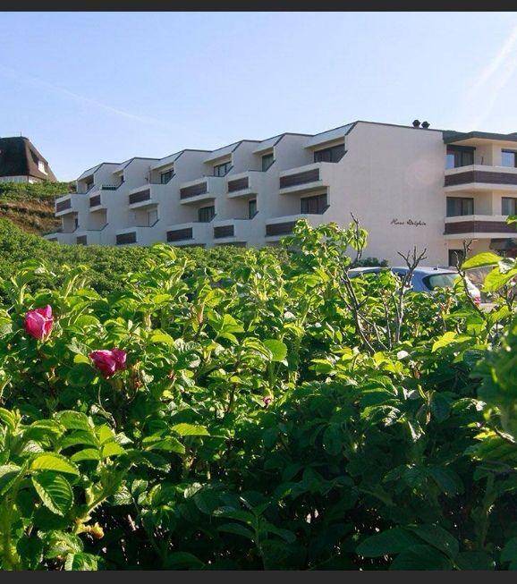 50 M² Apartment ∙ 1 Bedroom ∙ 4 Guests - Amrum