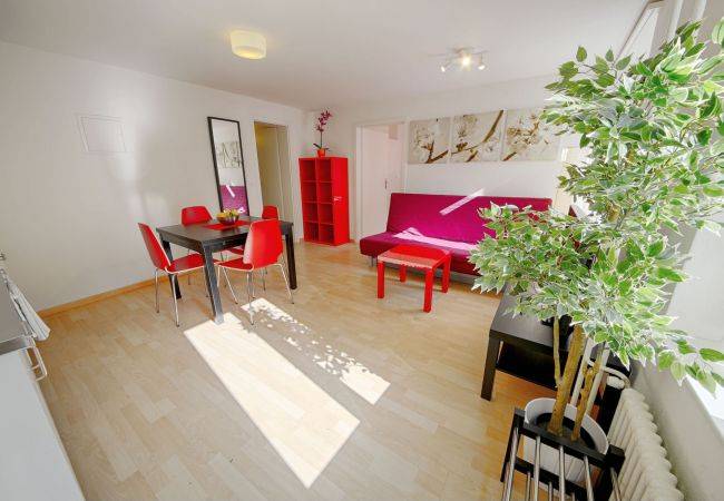 33 M² Appartement ∙ 1 Chambre ∙ 4 Personnes - Winterthour