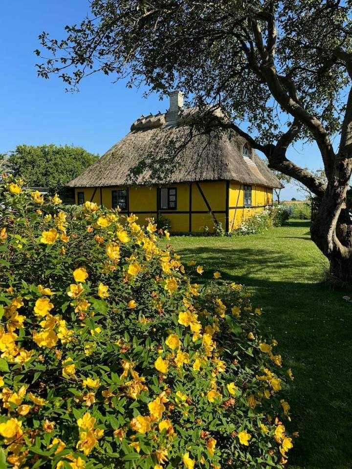 54 M² Ferienhaus ∙ 2 Schlafzimmer ∙ 3 Gäste - Ostsee