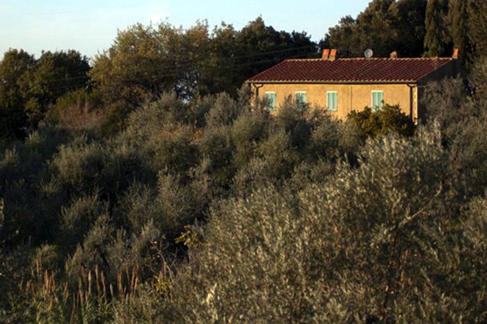 80 M² Farmhouse ∙ 1 Bedroom ∙ 6 Guests - Castagneto Carducci