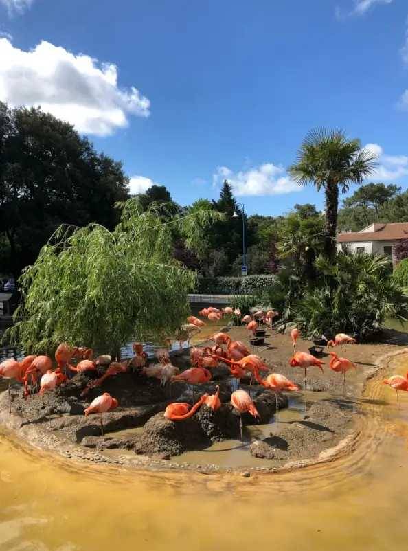 28 M² Camping ∙ 2 Chambres ∙ 6 Personnes - La Palmyre