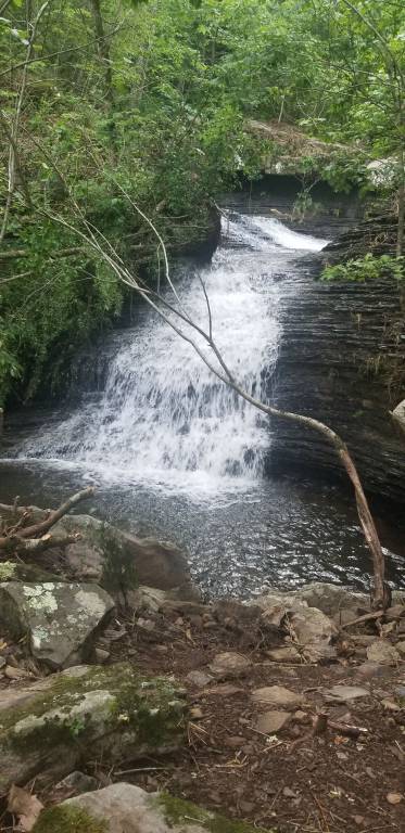 8 Best Spring Break Destinations in Arkansas - Tripping.com Rentals ...