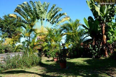 60 M² Appartement ∙ 2 Chambres ∙ 6 Personnes - La Réunion