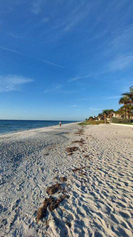 Sand Key, FL Condo & Vacation Rentals from $54 | HomeToGo