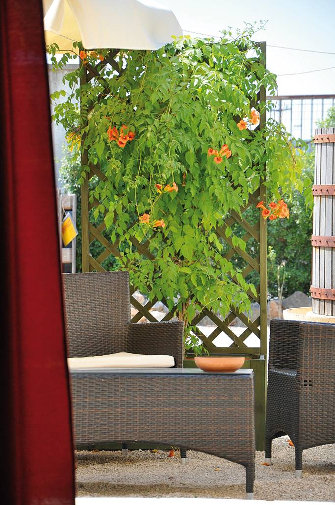 Masseria Signora Porzia - Leverano