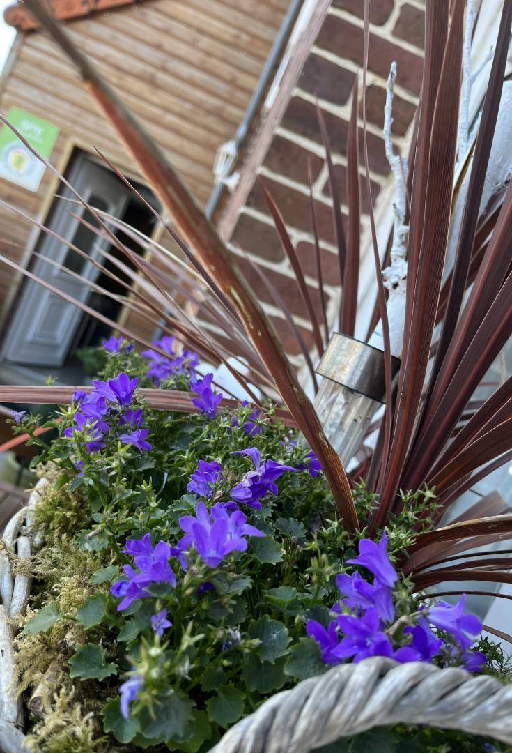 33 M² Gîte ∙ 2 Personnes - Mers-les-Bains