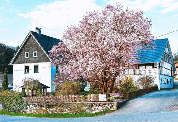 30 M² Ferienwohnung ∙ 2 Gäste - Finnentrop