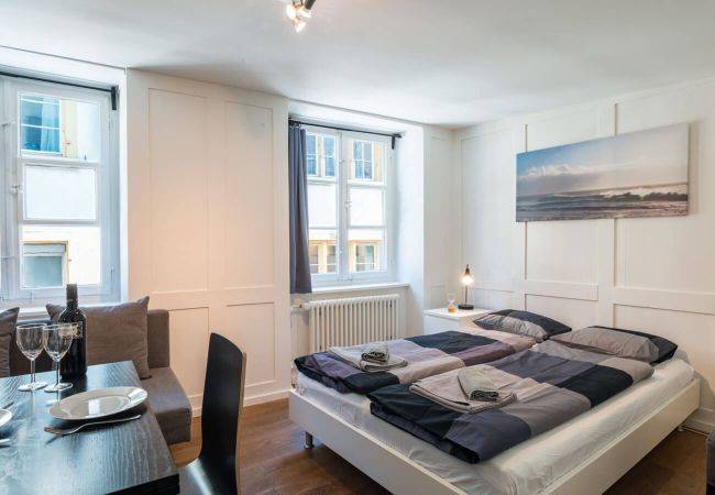 19 M² Apartment ∙ 3 Guests - Erlenbach