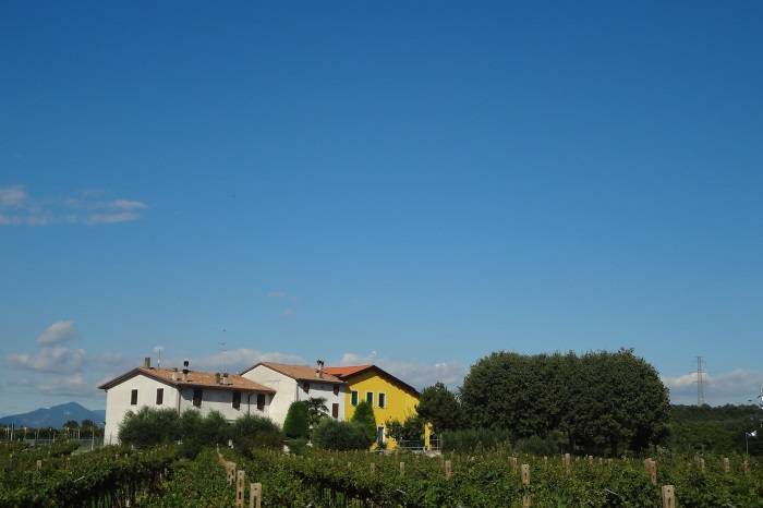 Privatzimmer ∙ 1 Schlafzimmer ∙ 2 Gäste - Castelnuovo del Garda