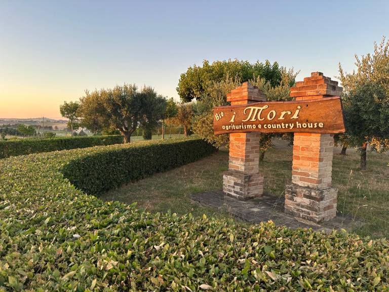 Agriturismo I Mori - Marcas