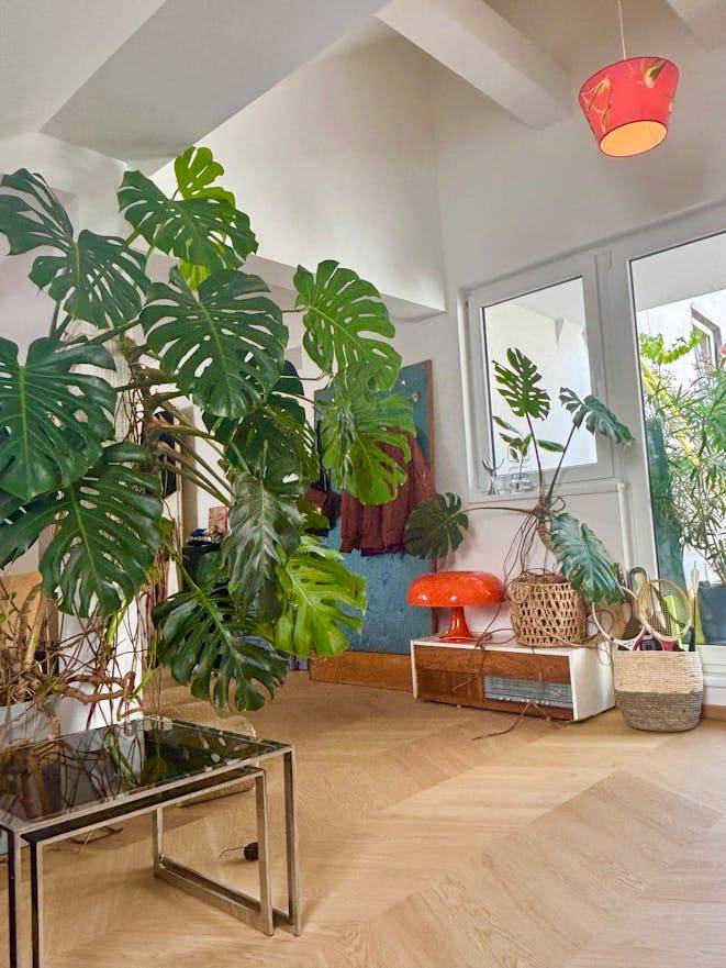 64 M² Apartamento ∙ 1 Habitación ∙ 2 Huéspedes - Vienna