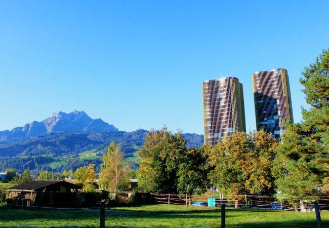 43 M² Apartament ∙ 1 Sypialnia ∙ 5 Gości - Lucerna