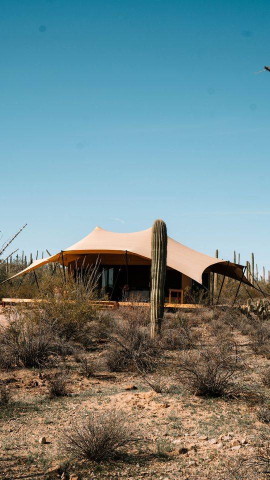Camping ∙ 1 Bedroom ∙ 4 Guests - Sonora