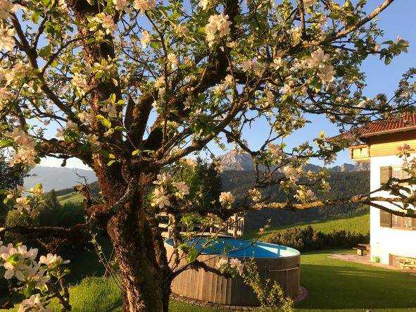 50 M² Apartamento ∙ 2 Huéspedes - Inzell