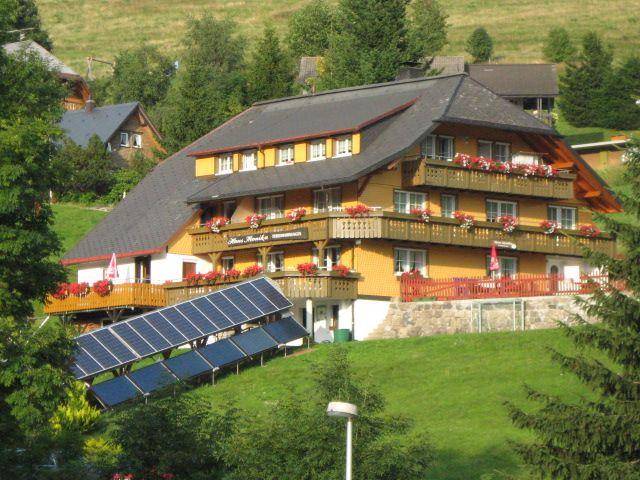 35 M² Ferienwohnung ∙ 1 Schlafzimmer ∙ 3 Gäste - Belchen