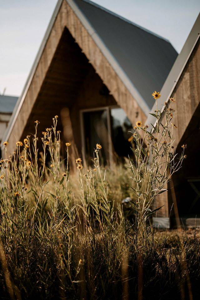 Cabin ∙ 1 Bedroom ∙ 2 Guests - Emigrant, MT