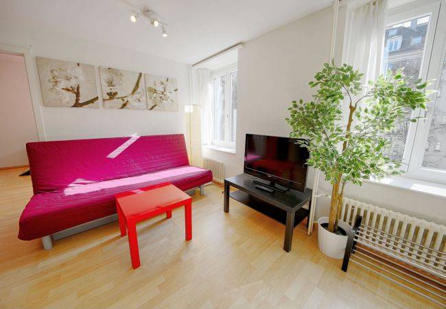 33 M² Appartement ∙ 1 Chambre ∙ 4 Personnes - Zurich