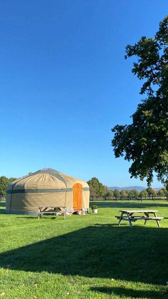 Leirintä ∙ 1 Makuuhuone ∙ 5 Vierasta - West Sussex