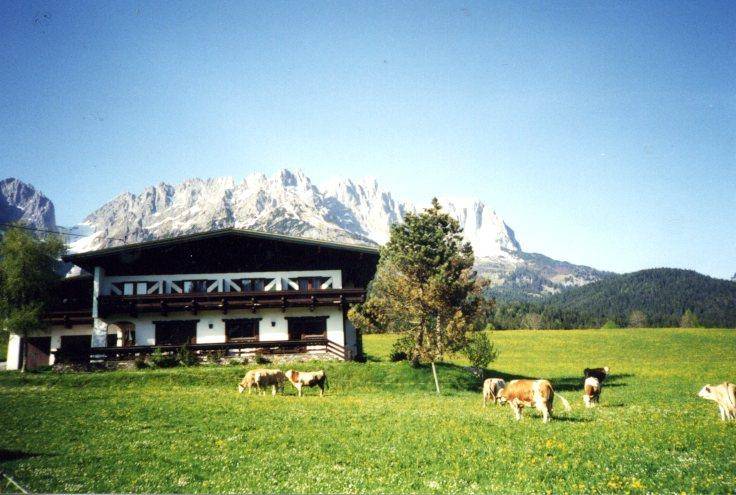 55 M² Ferienwohnung ∙ 2 Schlafzimmer ∙ 4 Gäste - Ellmau