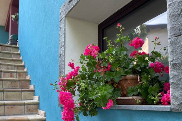 Etna Mare - Linguaglossa