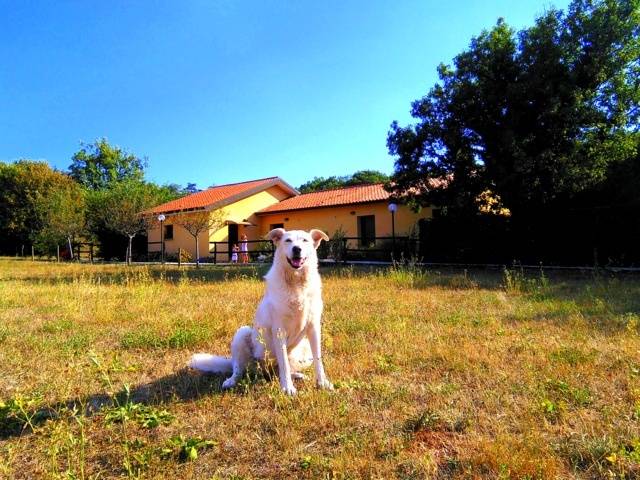 Agriturismo Radovic Duino-Aurisina - (Trieste) - Friuli-Venezia Giulia ...