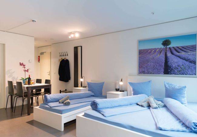 30 M² Apartamento ∙ 4 Huéspedes - Lucerne