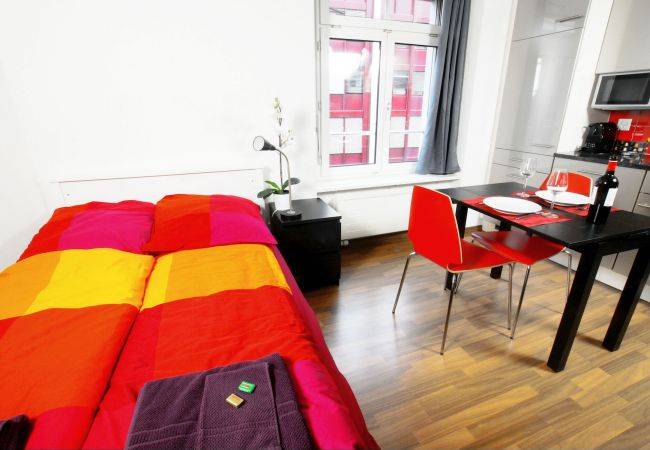 17 M² Appartamento ∙ 2 Ospiti - Winterthur