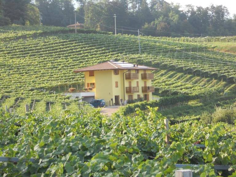 Al Vigneto - Trento