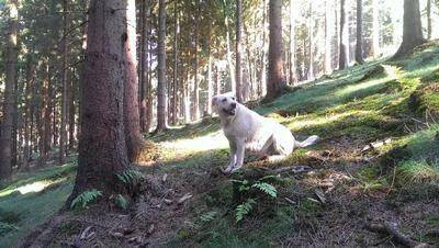 55 M² Ferienhaus ∙ 1 Schlafzimmer ∙ 2 Gäste - Bayern