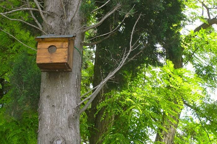 137 M² Farmhouse ∙ 3 Bedrooms ∙ 10 Guests - Tuscany