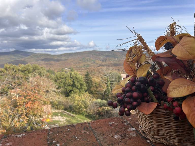 Historic Farmhouse Casa Del Chiodo - Agriturismo Biologico - Tuscany