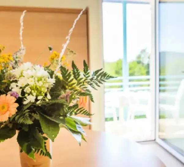 32 M² Maison De Vacances ∙ 1 Chambre ∙ 4 Personnes - La Salvetat-sur-Agout