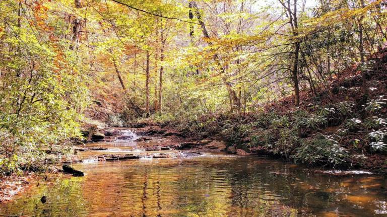 Mountain Rest, SC Vacation Rentals from $93 | HomeToGo