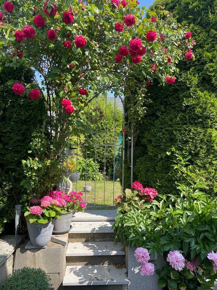 70 M² Ferienwohnung ∙ 2 Schlafzimmer ∙ 4 Gäste - Münsingen