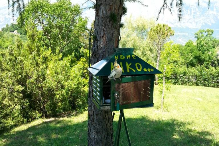 Persichitti - Abruzzo