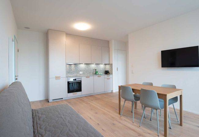 34 M² Apartment ∙ 1 Bedroom ∙ 3 Guests - Zürich