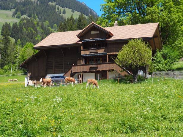 60 M² Ferienwohnung ∙ 1 Schlafzimmer ∙ 2 Gäste - Krattigen