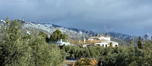 Casa Rural ∙ 9 Habitaciones ∙ 10 Huéspedes - Andalucía