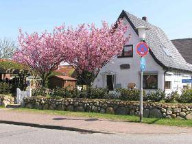 35 M² Ferienwohnung ∙ 2 Schlafzimmer ∙ 3 Gäste - Sylt