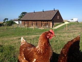 40 M² Cottage ∙ 1 Bedroom ∙ 2 Guests - Isle of Wight